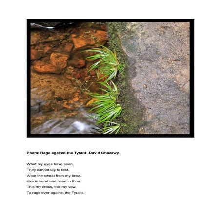 Poetry: Rage against the Tyrant - David Ghazawy | DOCX | Poetry | Books ...