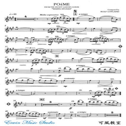 Poeme violin | PDF