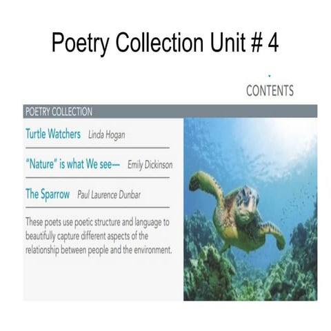 poetry collection unit 4 Turtle Watchers , ...... | PPT