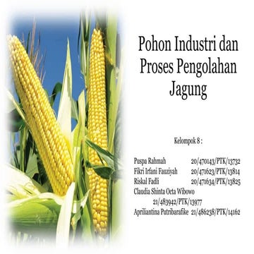 Pohon Industri dan Proses Pengolahan Jagung.pptx