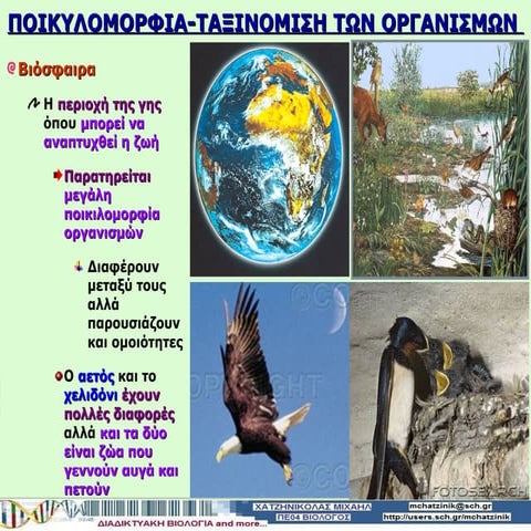 Poikilomorfiakaitaxinomisitonorganismon | PPT