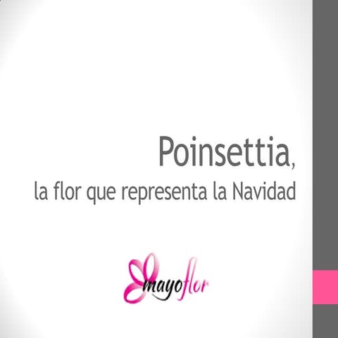 Historia de la flor de noche buena | PPS