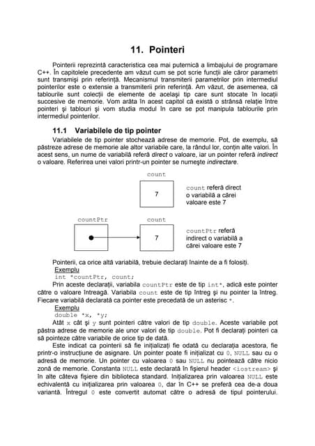 Recommandation Letter RHI Amsterdam | PDF