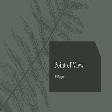 Point of View.pptx