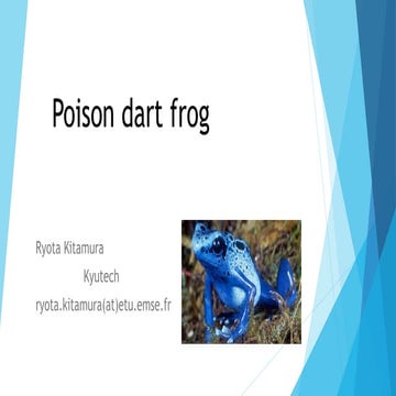 Poison dart frog | PPTX