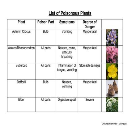 Poisonous-plants.pdf on your garden and environment | PDF