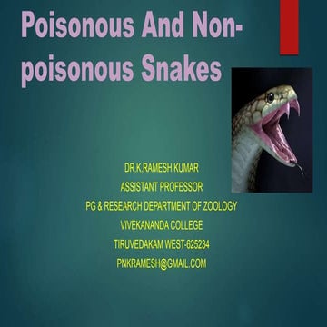 Poisonous and non poisonous snakes | PPTX