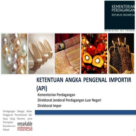 Ketentuan Angka Pengenal Importir (API) 2012 | PPT