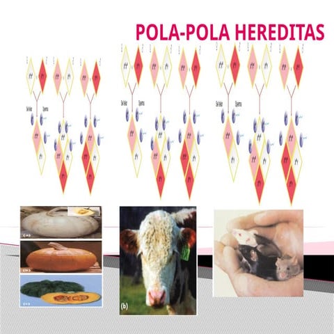 Pola Hereditas Sekumpulann Makhluk Hidup | PPTX