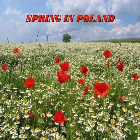 Poland in spring by mirella | PPT