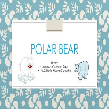 Presentacion en ingles sobre los osos polares | PPTX