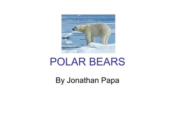 Polar bear | PPT