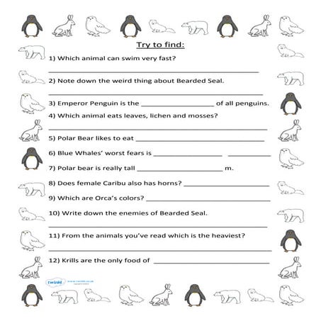 Polar animals - ID Cards - worksheet | PDF