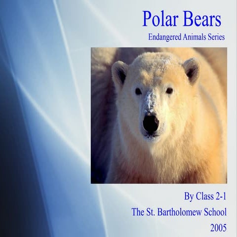 Polar bear | PPT