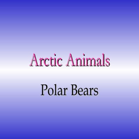 Polar bear ppt | PPT