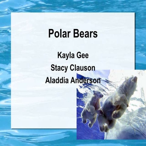 Polar Bears | PPT