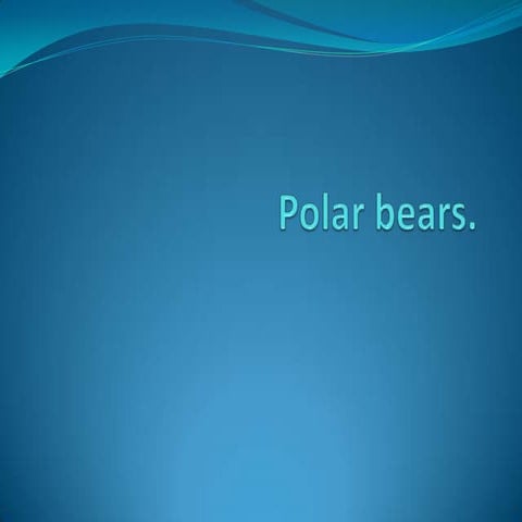 Polar bears | PPT