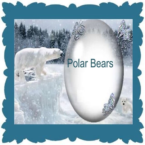 Polar bears | PPS