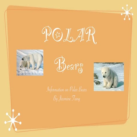 Polar Bears Keynote | KEY
