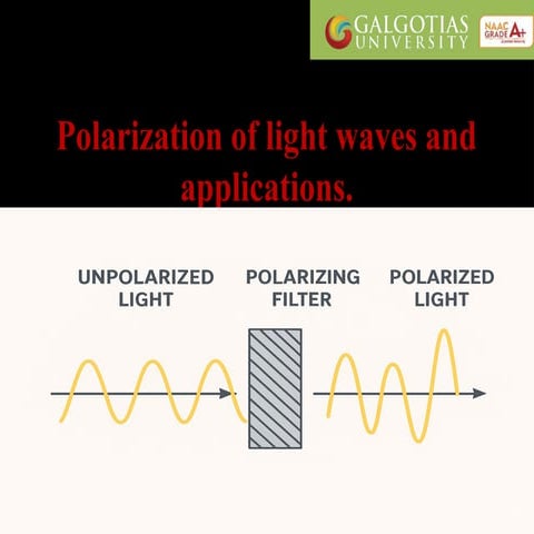Polarization | PPT