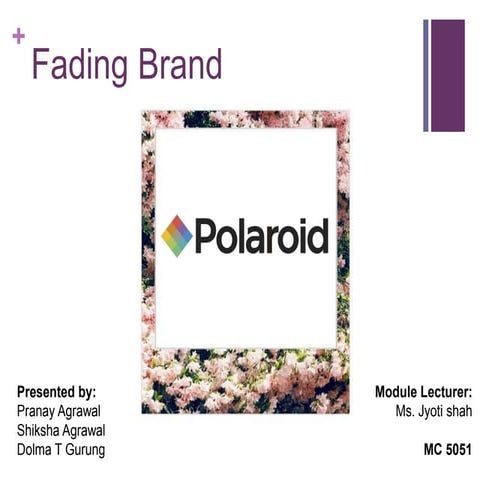 Polaroid | PPTX
