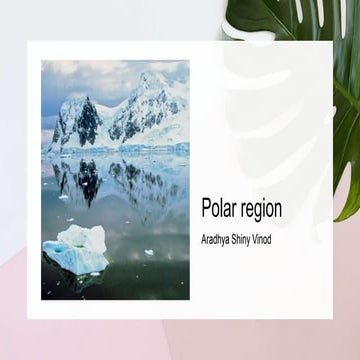 Polar region.pptx