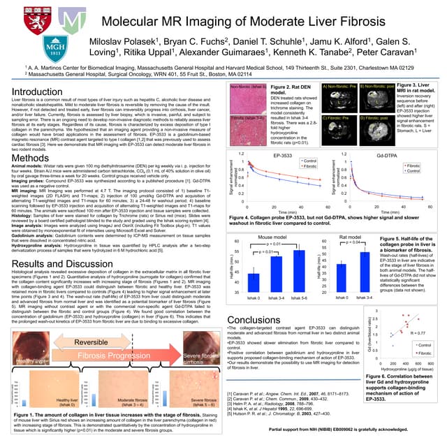 American Society Of Hematology Conference Poster 120608 | PDF