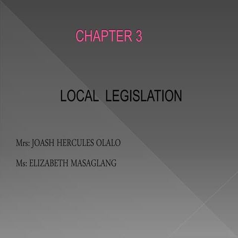 Local Legislative Process | PPTX