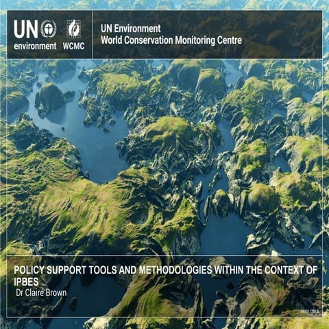 Policy Support Tools and Methodologies Within the Context of IPBES - Dr ...