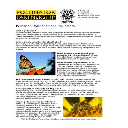 Polination | PDF