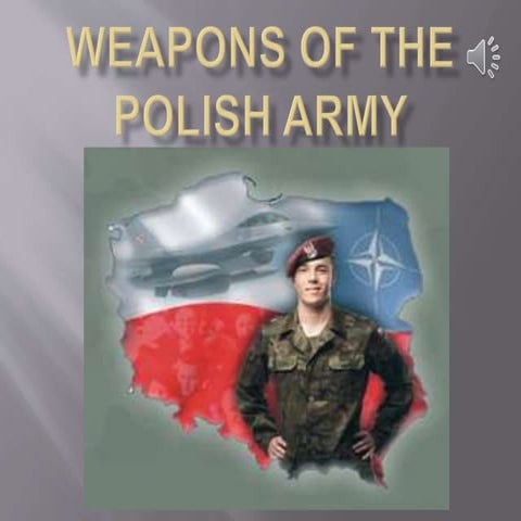 Polish Army Weapons, Poland | PPTX