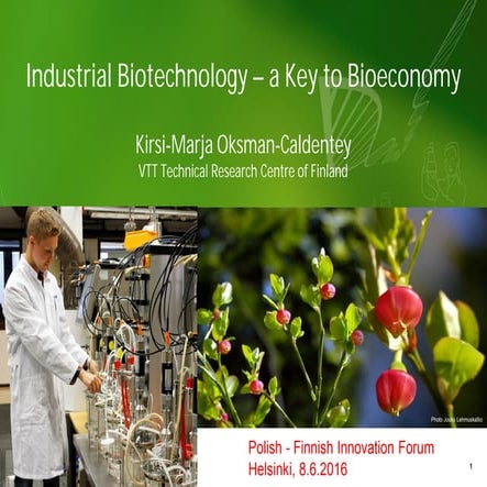 Industrial Biotechnology-a Key to Bioeconomy | PDF