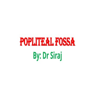 Comprehensive Anatomy of the Popliteal Fossa: Borders, Roof, Floor, and ...