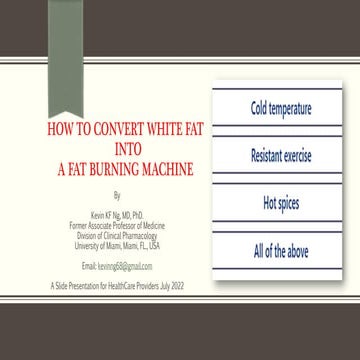 Adipose tissue histology - maha hammady | PPTX