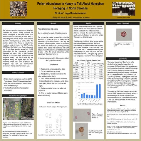 Pollen in Honey poster final.pptx