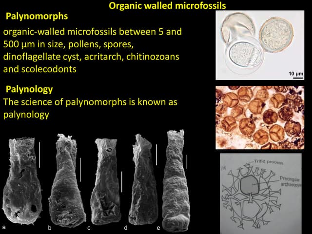 Meteorites Lecture Introduction Types Meteor Ppt
