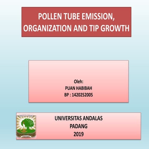 POLLEN TUBE.pptx