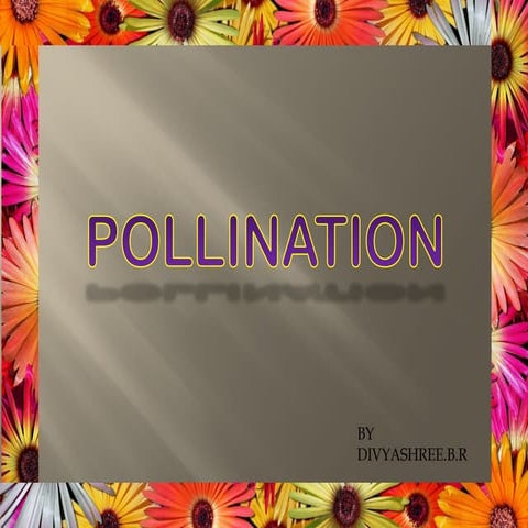 Pollination/class 12 biology | PPTX