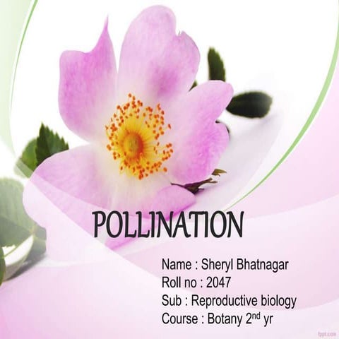 Pollination/class 12 biology | PPTX