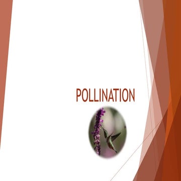 Pollination/class 12 biology | PPTX