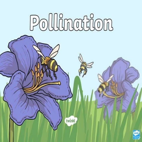 Pollination.pptx pollination and their importance | PPTX