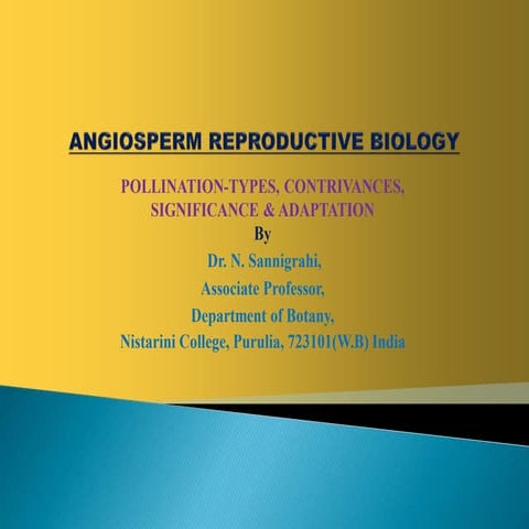 Pollination/class 12 biology | PPTX