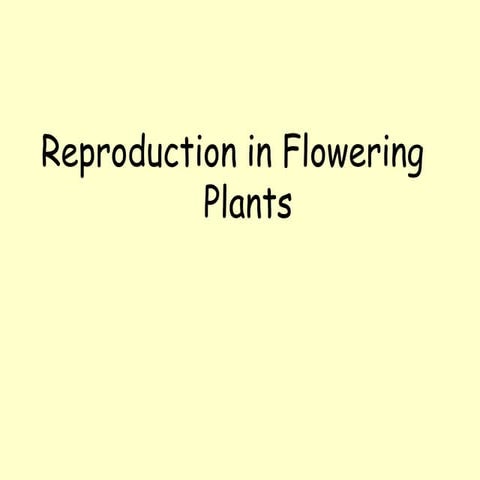 Pollination and fertilisation in flowers GCSE | PPT