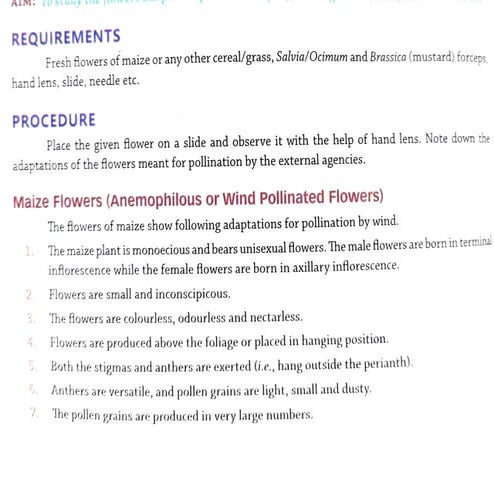 pollination experiment.pdf class 12 biology | PDF