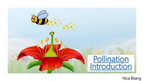 Current Issues in Curriculum Development in the Philippines | PDF