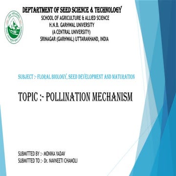 Modes of Pollination: self and cross pollination | PPTX