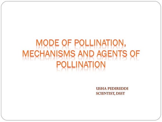 POLLINATION | PPT
