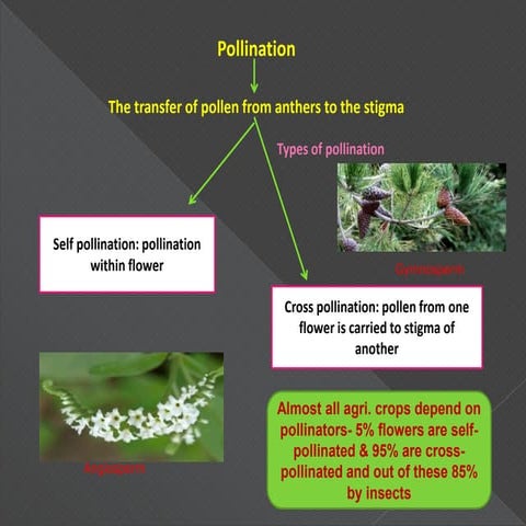 Pollination service of honeybee | PPT