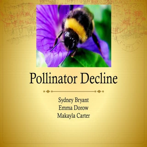 Pollinator 2 | PPTX