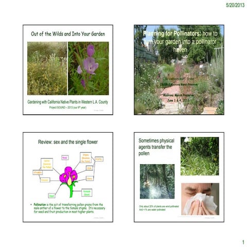 POLLINATORS AND THEIR PLANTS kids (1) | DOCX